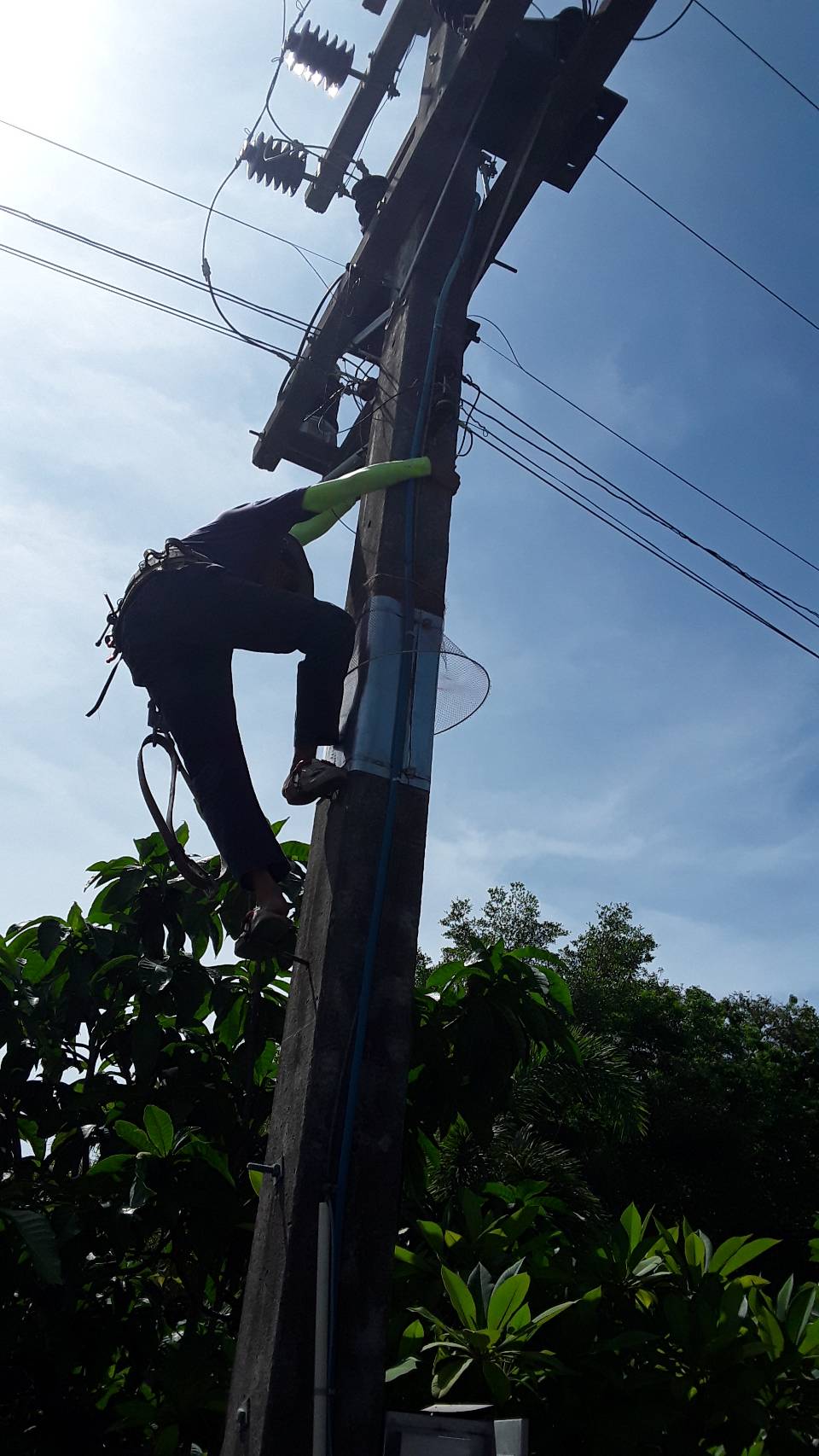 Man Climbing Pole Keypoint Detection Dataset By Prince Of Songkla University
