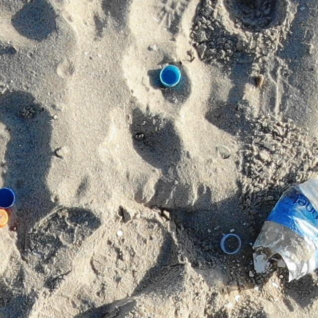 5 Instance Segmentation Dataset by project