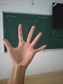 Hand_Instance Segmentation Instance Segmentation Dataset by AIlearning