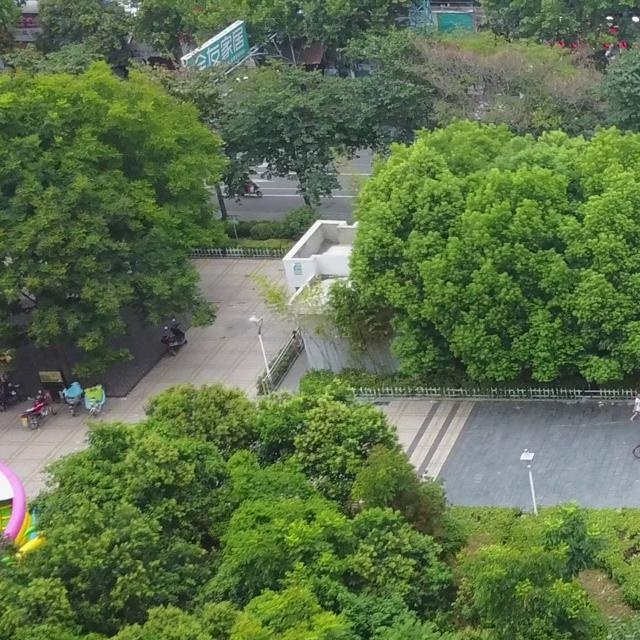 Cropvis Object Detection Dataset By Deakin