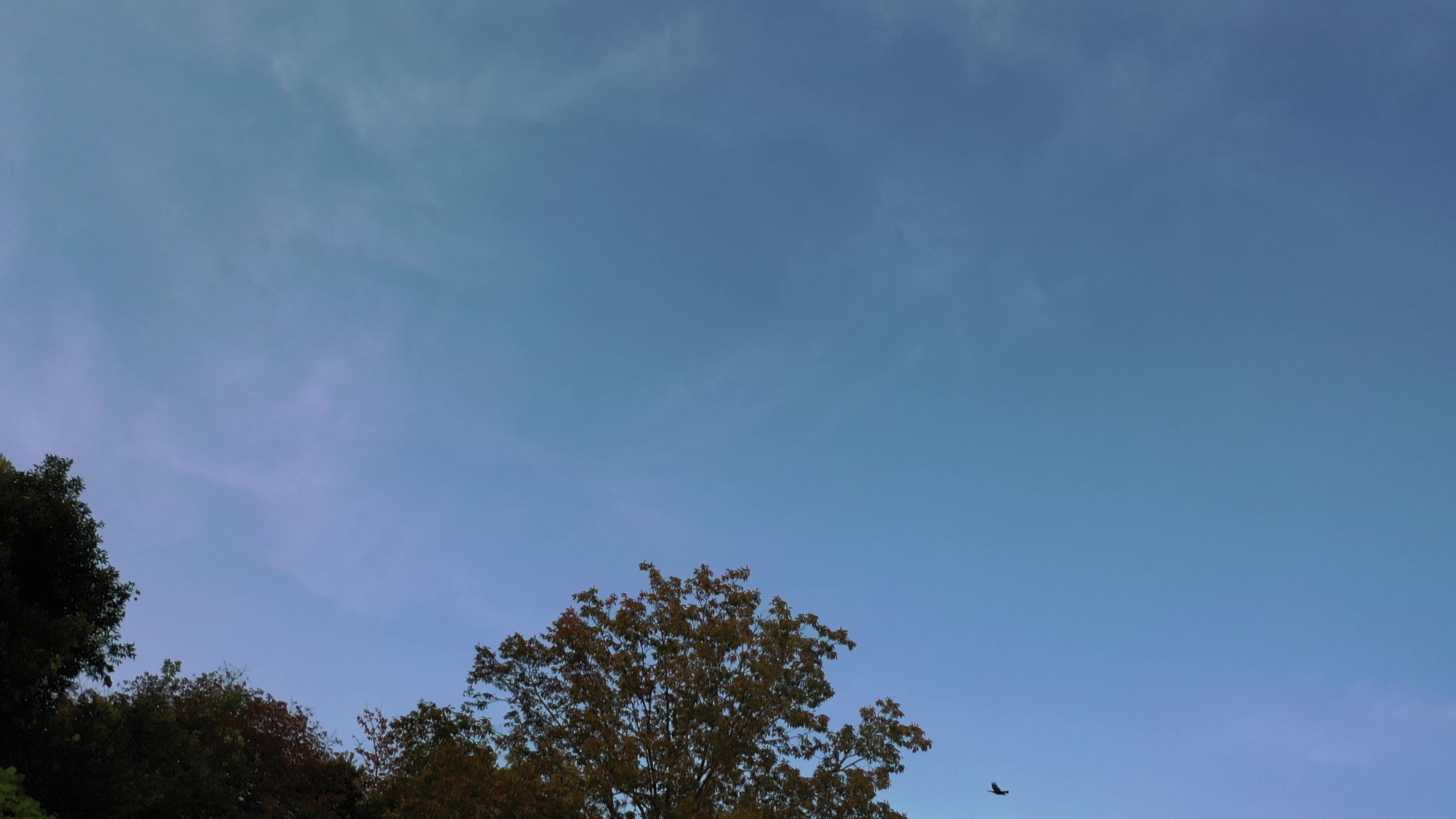 MIVSmall Object Detection - Roboflow Universe