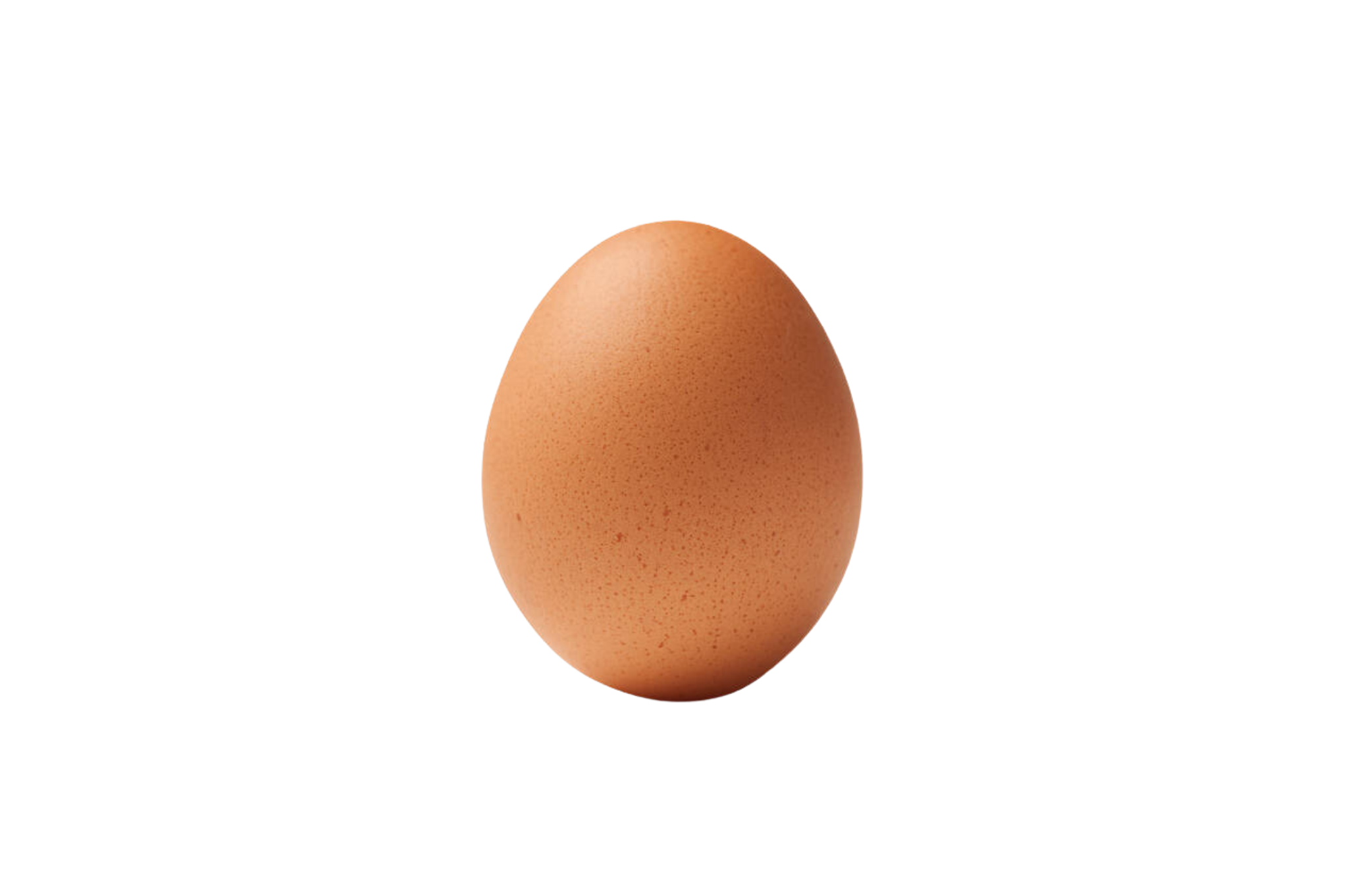 egg quality grading Object Detection Dataset by bbdniit