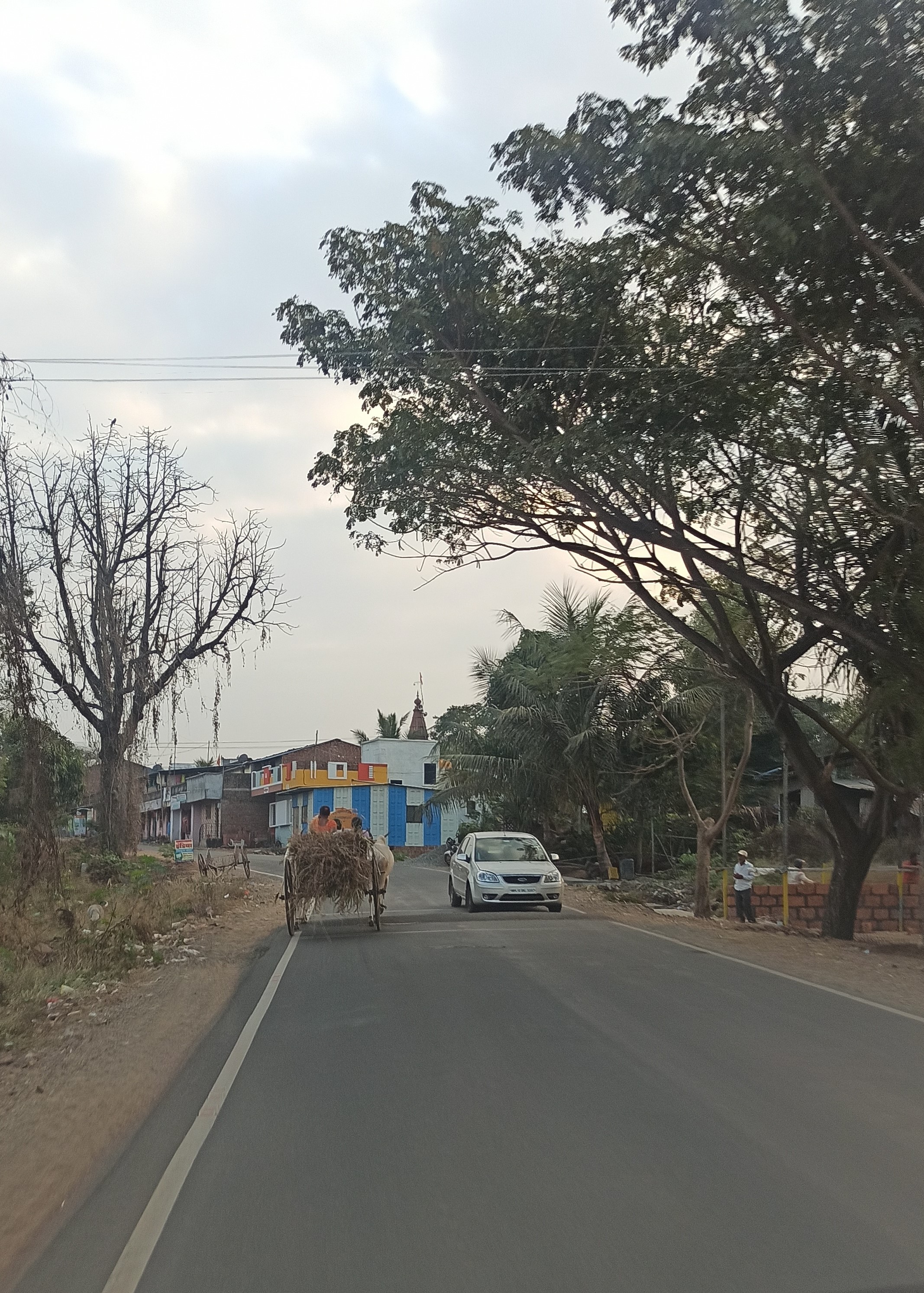 ADAS Object Detection Model by CSKCapstone