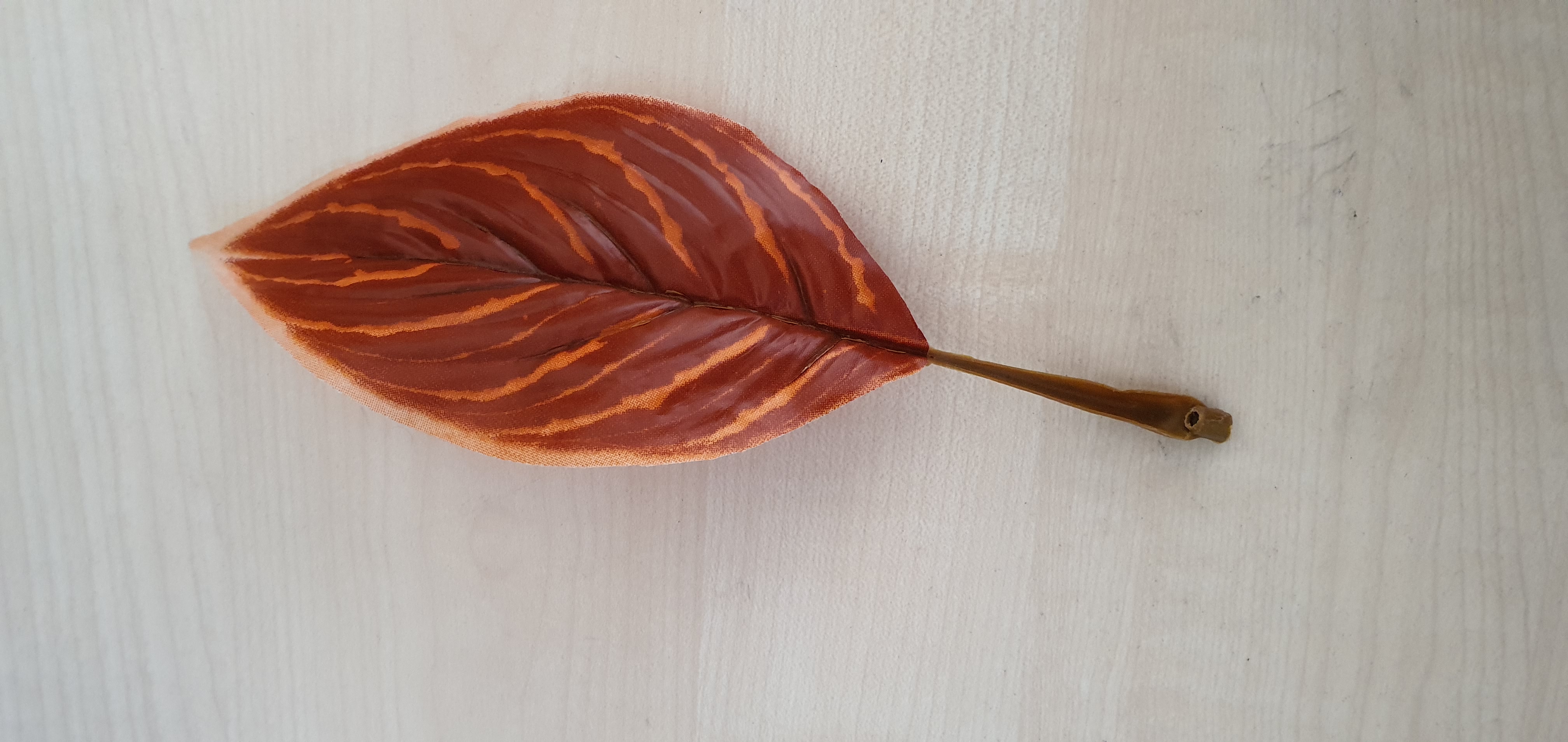 Leaf Object Detection Dataset by Arch