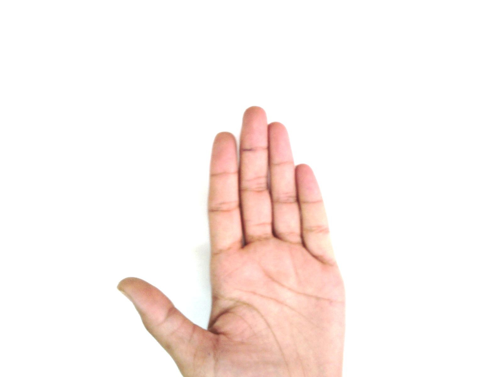 Palm lines recognition Keypoint Detection Dataset by DSTU