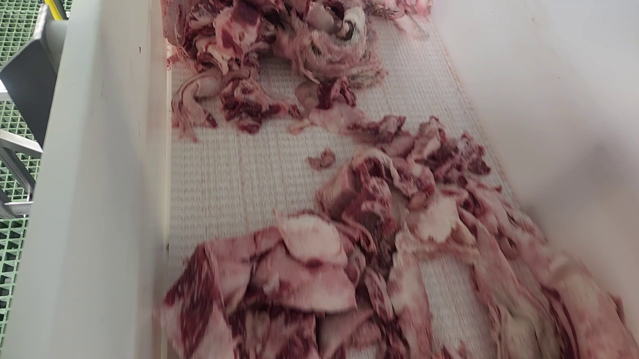 Meat Object Detection Dataset by Foreign Object Detector