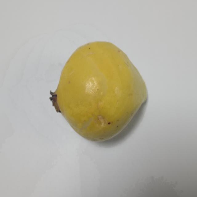 Clase Practica Object Detection Model By Roman