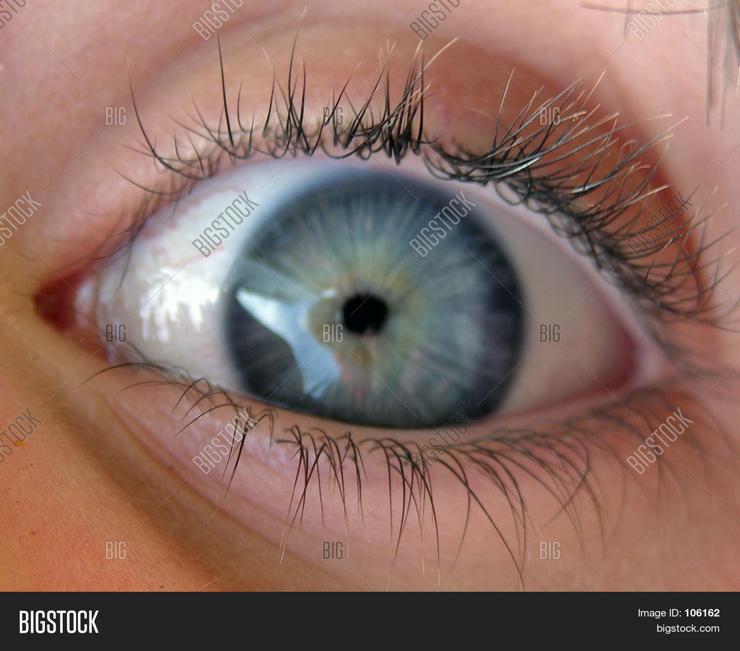 Eye Segmentation Instance Segmentation Dataset by LBaS Iris