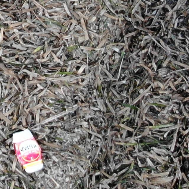 ANAS AOUADI (anas-aouadi-28tuc) - Roboflow Universe