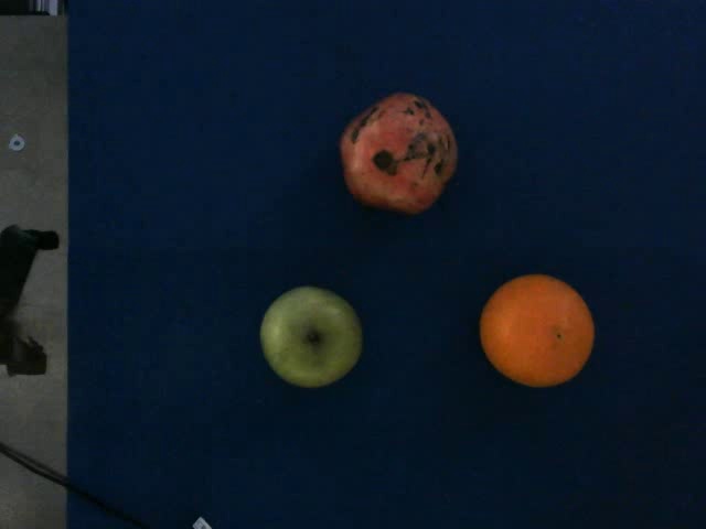 Bİtİrme Object Detection Model By Bitirme Projesi