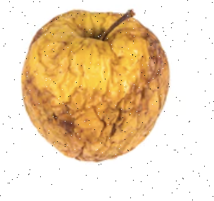 Fruit Detection Classification Dataset and Pre-Trained Model by Projects