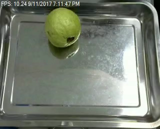 Fruits Object Detection Dataset by merlams24