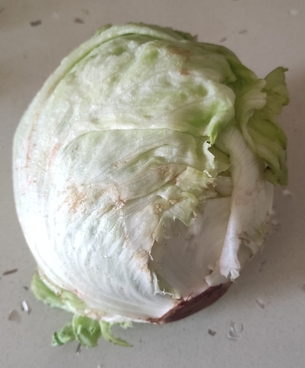 Bitirme Object Detection Dataset And Pre Trained Model By Proje