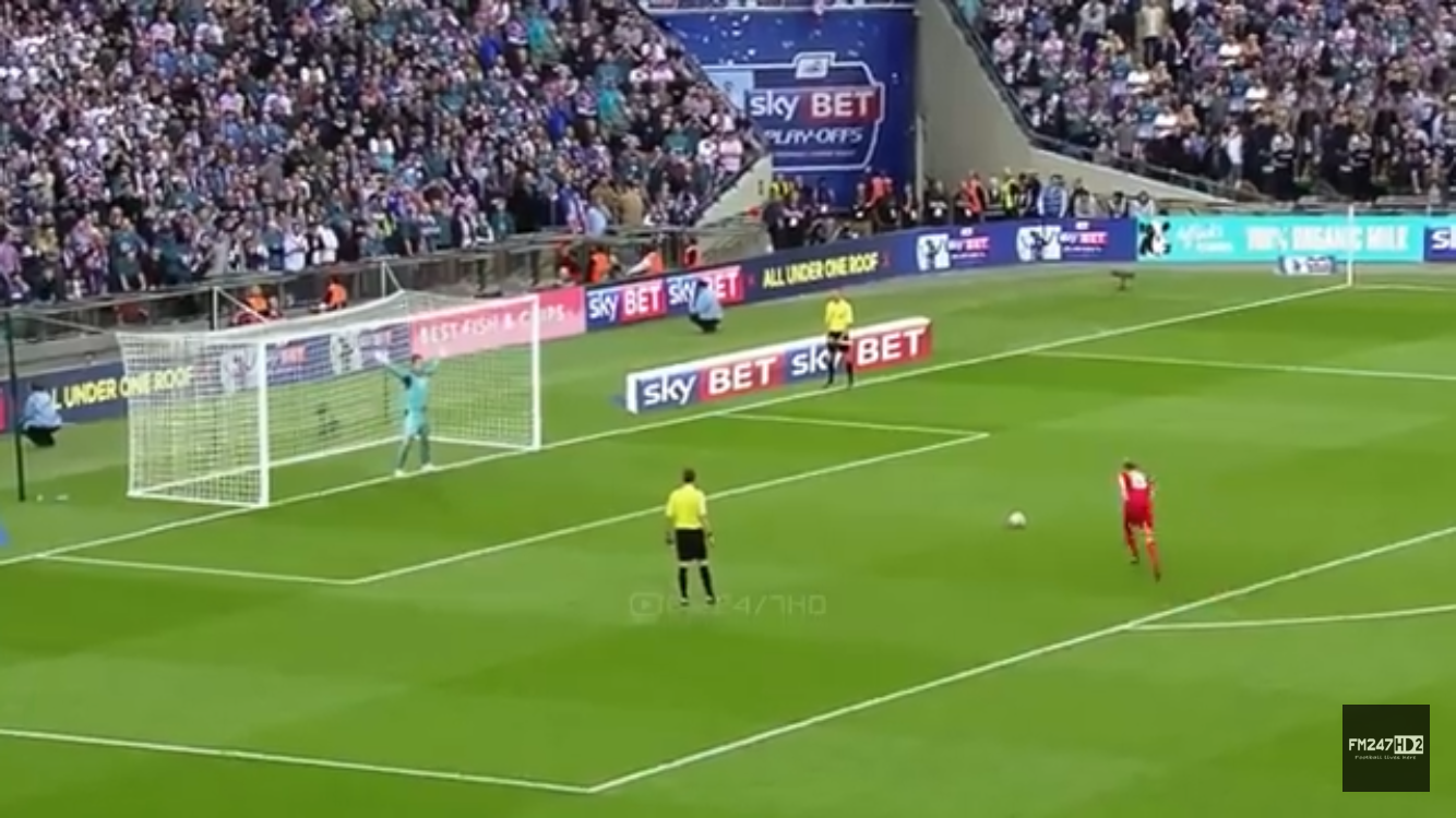 goal-finetune Object Detection Dataset and Pre-Trained Model by goalfintuning