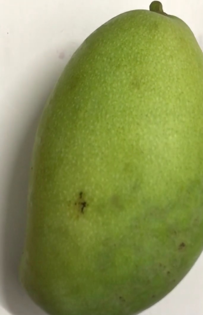 M1 Object Detection Dataset and Pre-Trained Model by Mango1