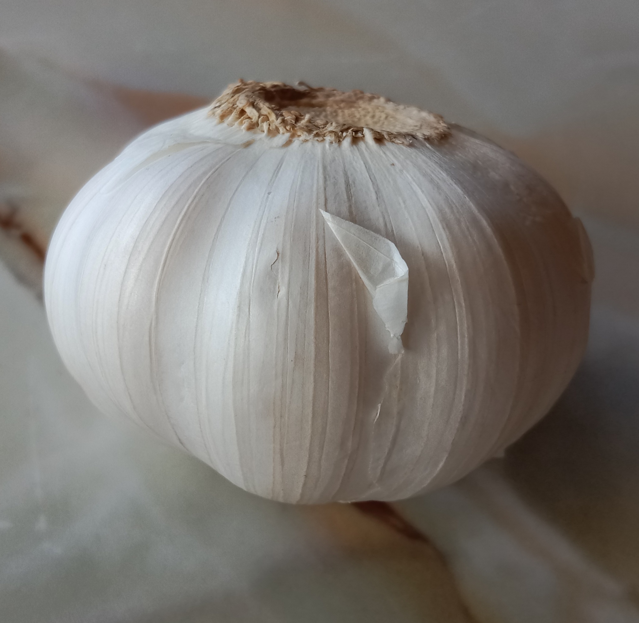 Deteksi Object Detection Dataset And Pre Trained Model By Teamegg