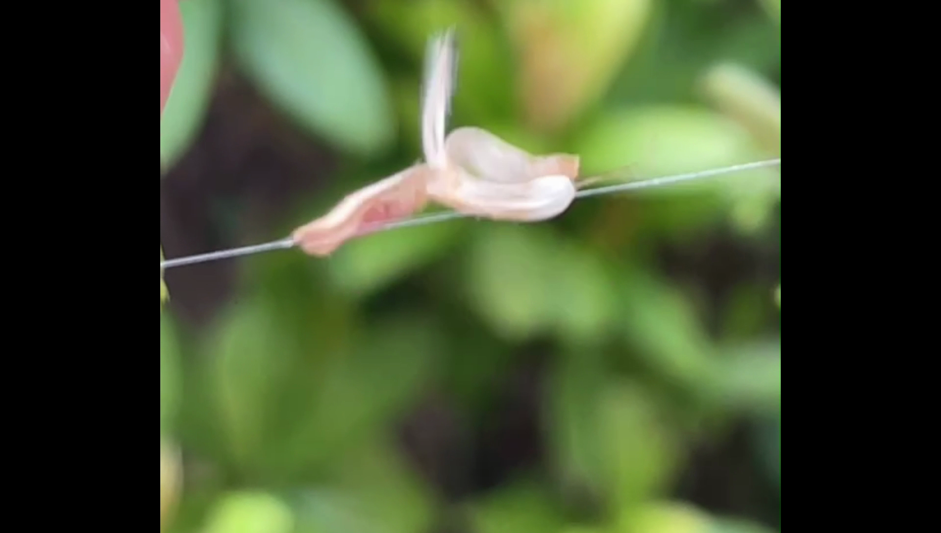 AIspace (aispace-xbogk) - Roboflow Universe