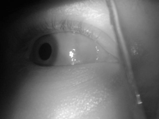 123 Object Detection Dataset by zxcdev