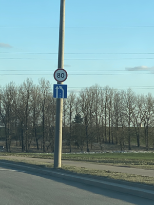 speed sign Object Detection Dataset by speed sign