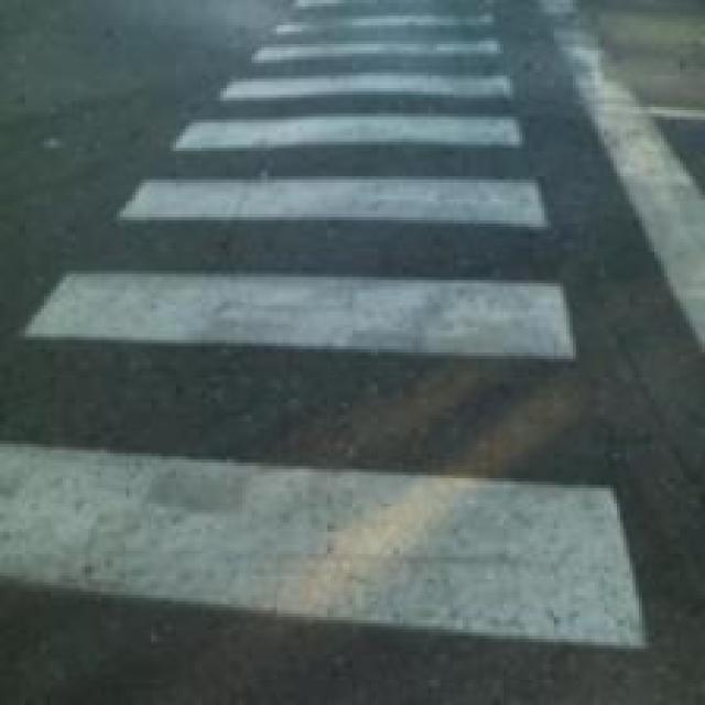 Crosswalks Object Detection Dataset By Project78