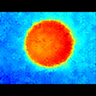 project 1 Object Detection Dataset and Pre-Trained Model by new select