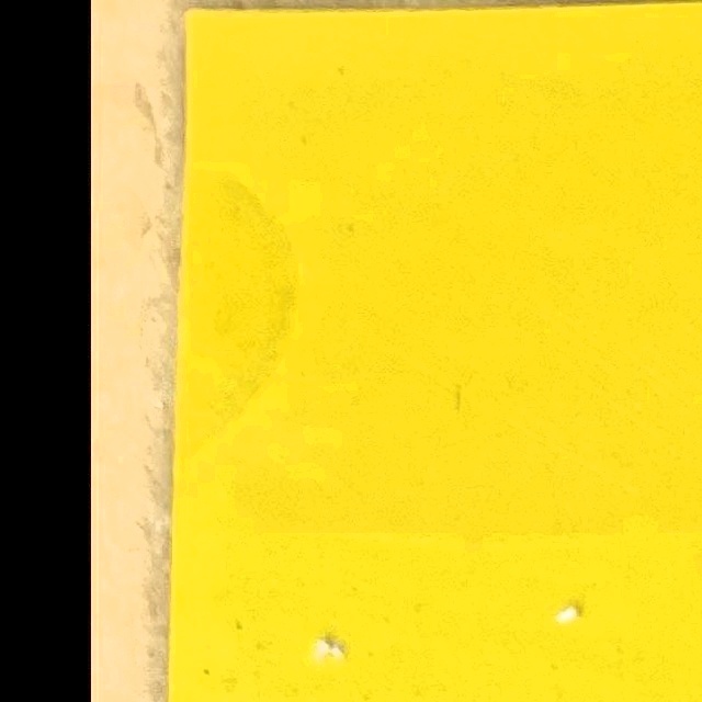 Pest Whitefly Object Detection Dataset And Pre Trained Model By Scale Insect