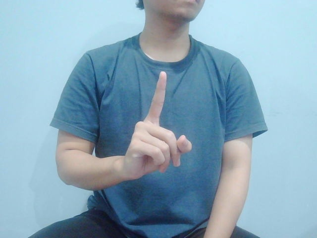 Sign Language Yolov8-Numbers Object Detection Dataset and Pre-Trained ...