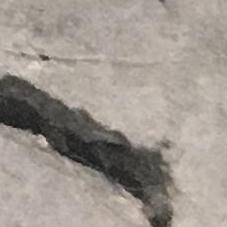 Instance Segmentation Instance Segmentation Dataset and Pre-Trained Model by project-7eerw