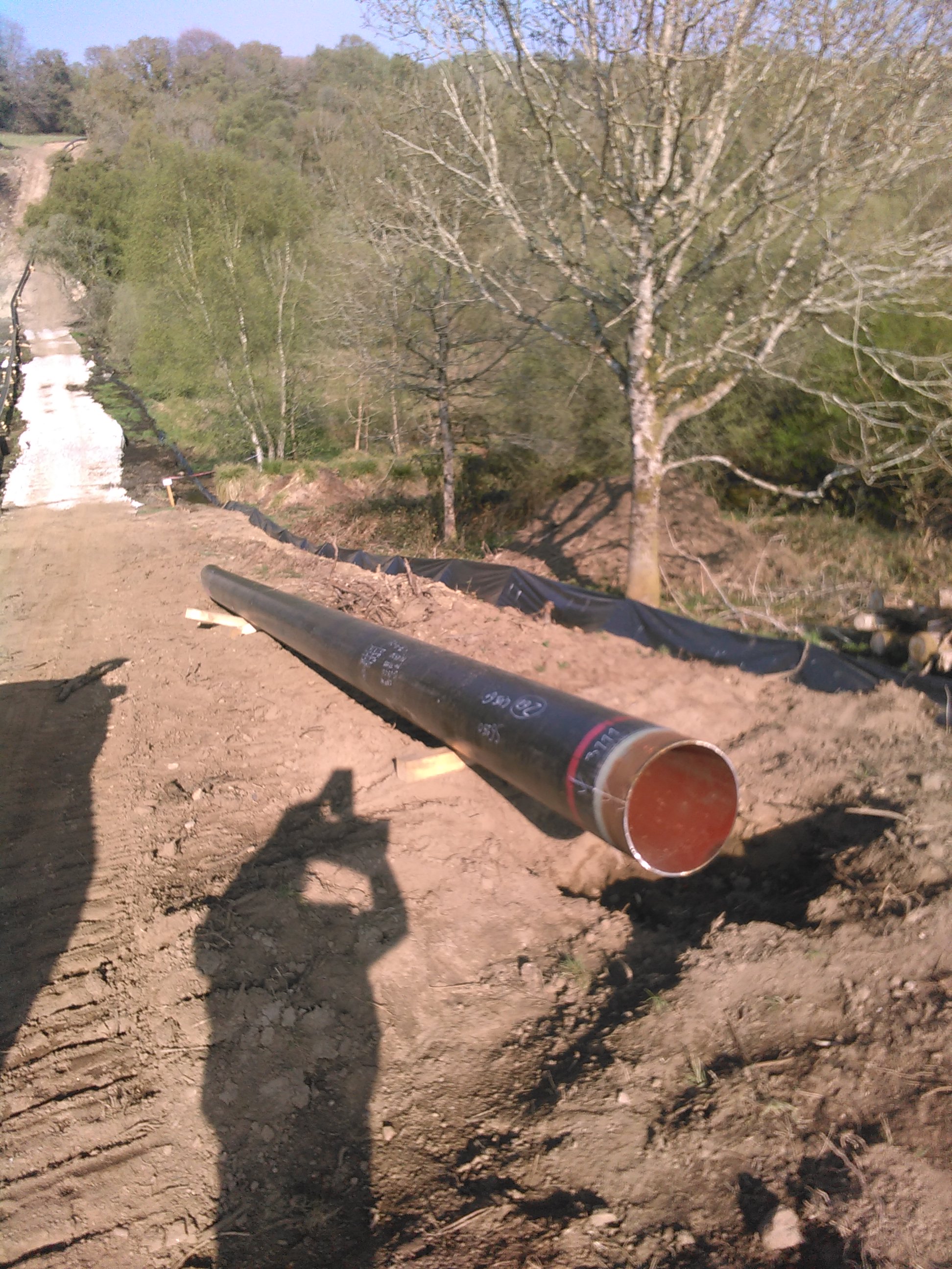 pipeline-lena Object Detection Dataset by new-workspace-ckm0b