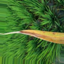 Object Detection (object-detection-mmyge) - Roboflow Universe