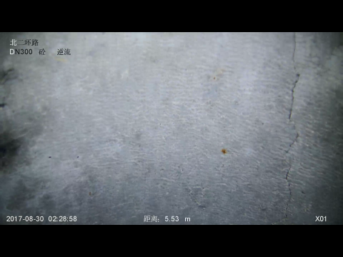 How to Use the in pipe corrosion and cracks Object Detection API