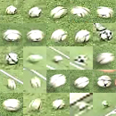 ball-detection Object Detection Dataset by TrackrFC