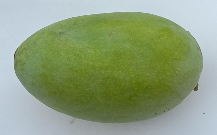 Mango classification Object Detection Dataset and Pre-Trained Model by ... Mango classification Object Detection Dataset and Pre-Trained Model by ...