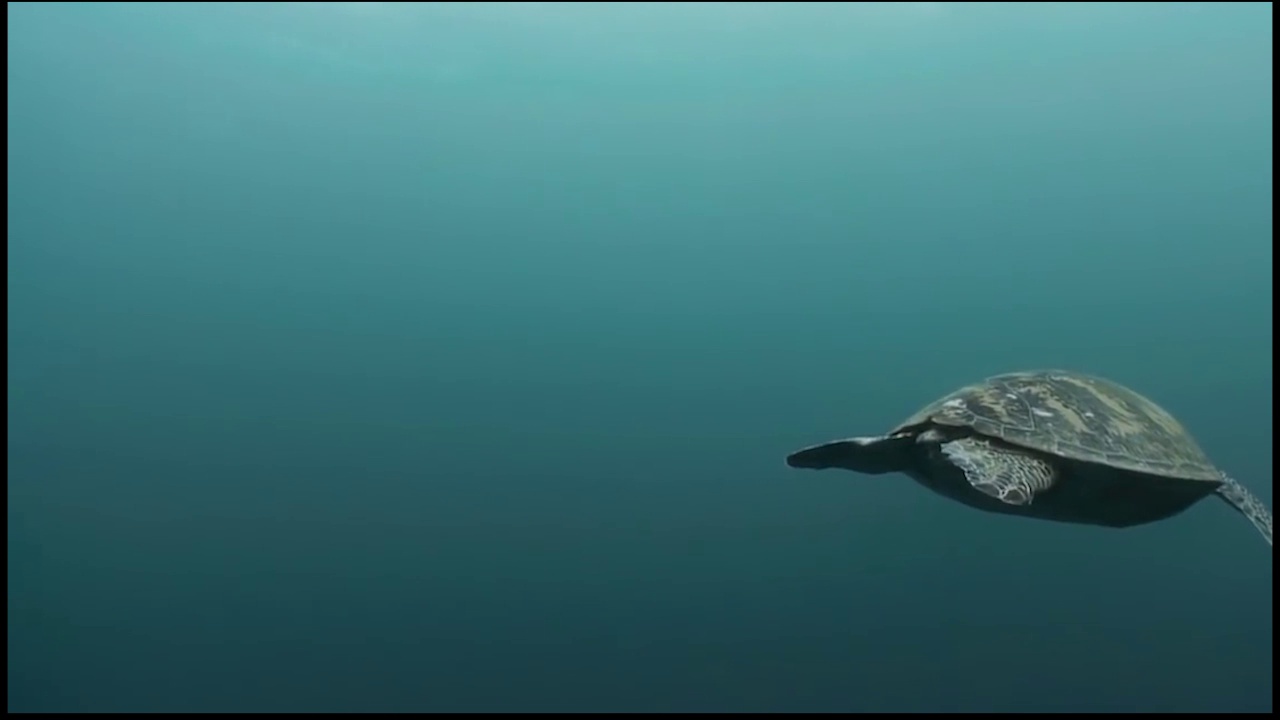 ruod Object Detection Dataset by liyikai