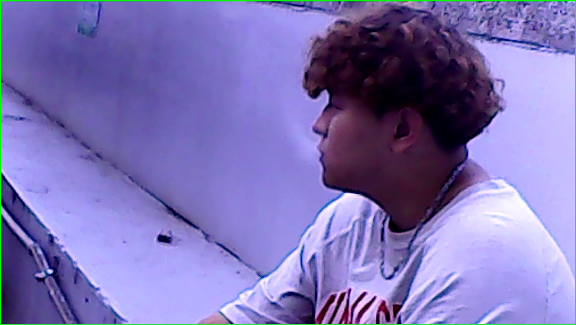 Smoking Identification Object Detection Dataset and Pre-Trained Model by fim