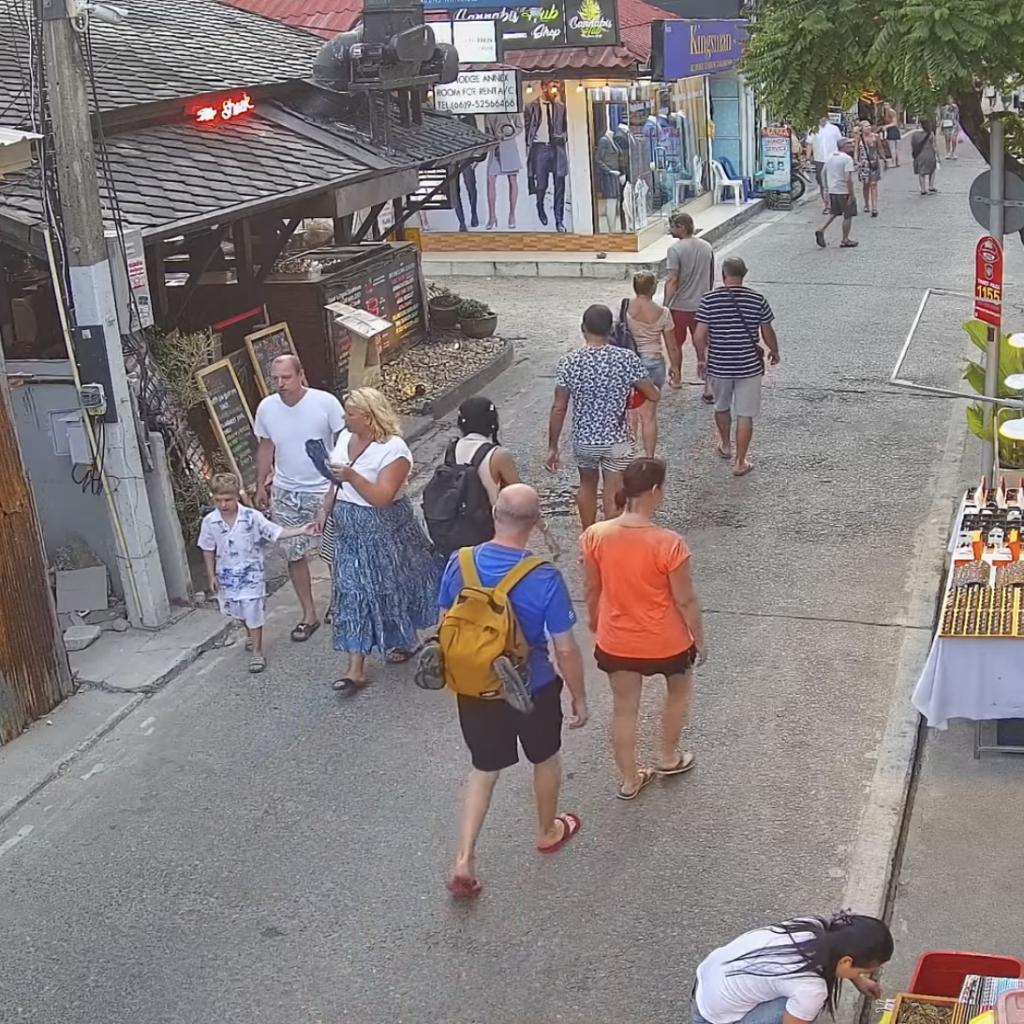 Detection Object Detection Dataset By Gp
