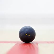 squash Object Detection Model by squash