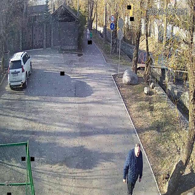 Yolov5n-human Object Detection Dataset and Pre-Trained Model by ...