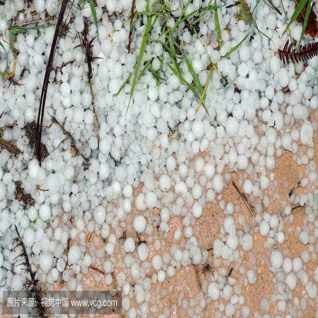 Hail_finder Object Detection Dataset by hailtest