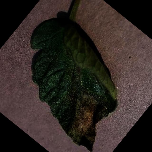 tomato leaf late blight Object Detection Dataset by healthy tomato leaf