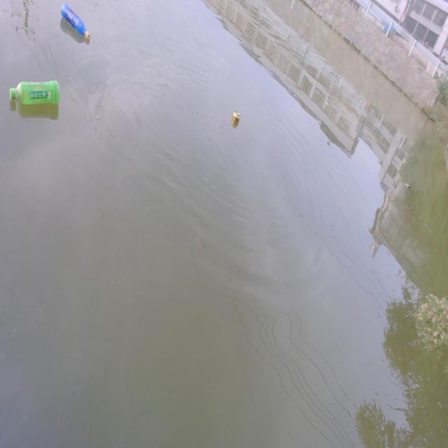 Water Pollution Object Detection Dataset And Pre Trained Model By Master