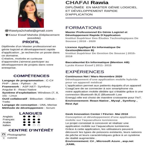 annotation Instance Segmentation Dataset by Resume