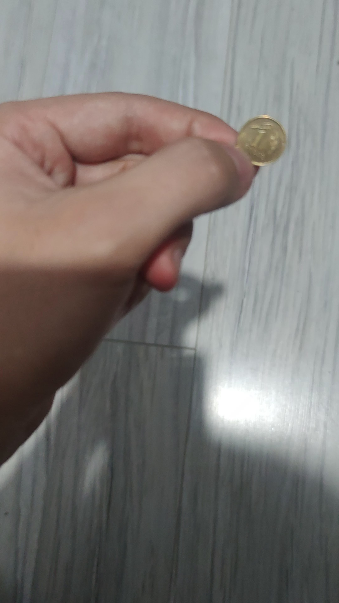 Coin Detector Pl Object Detection Model By Banknotesclasiffication