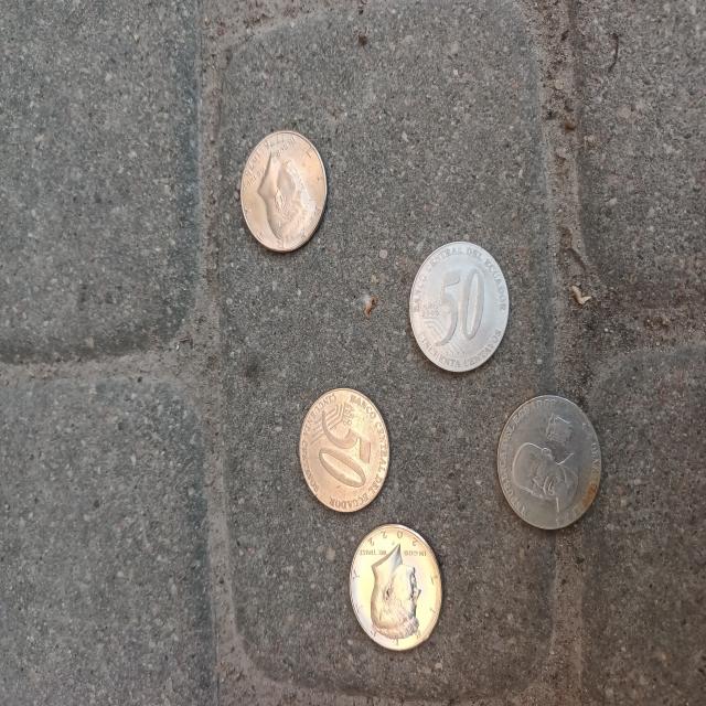 coin detector Object Detection Dataset and Pre-Trained Model by ...