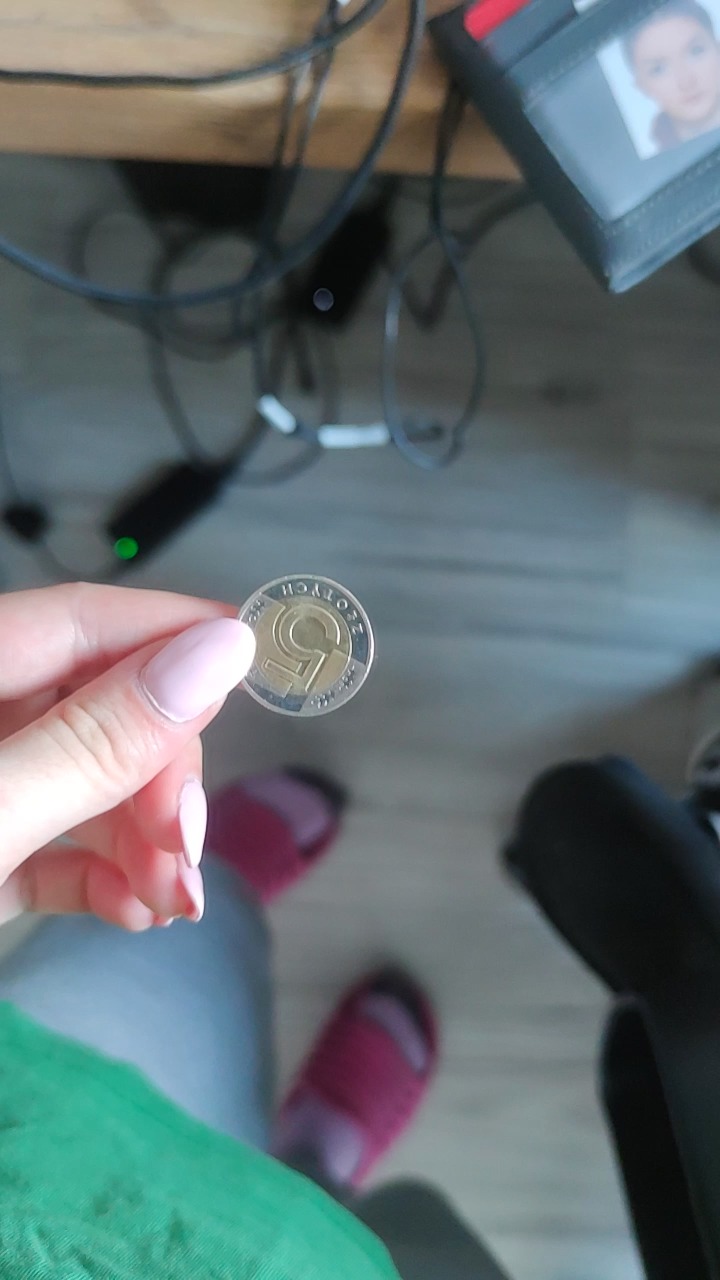 Polish Coins Detection Object Detection Dataset And Pre Trained Model