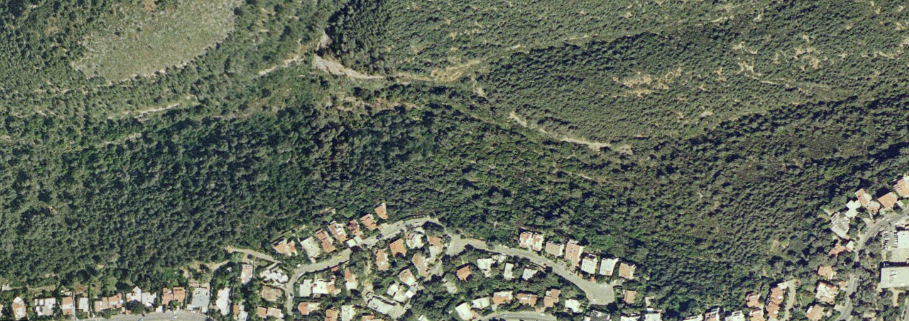 trees detector Instance Segmentation Model by Tree Canopy