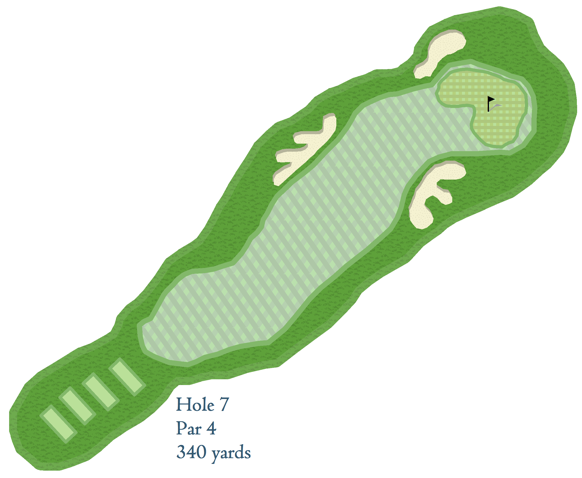 Golf_Caddy_AI Instance Segmentation Dataset by Nicholas Erlin