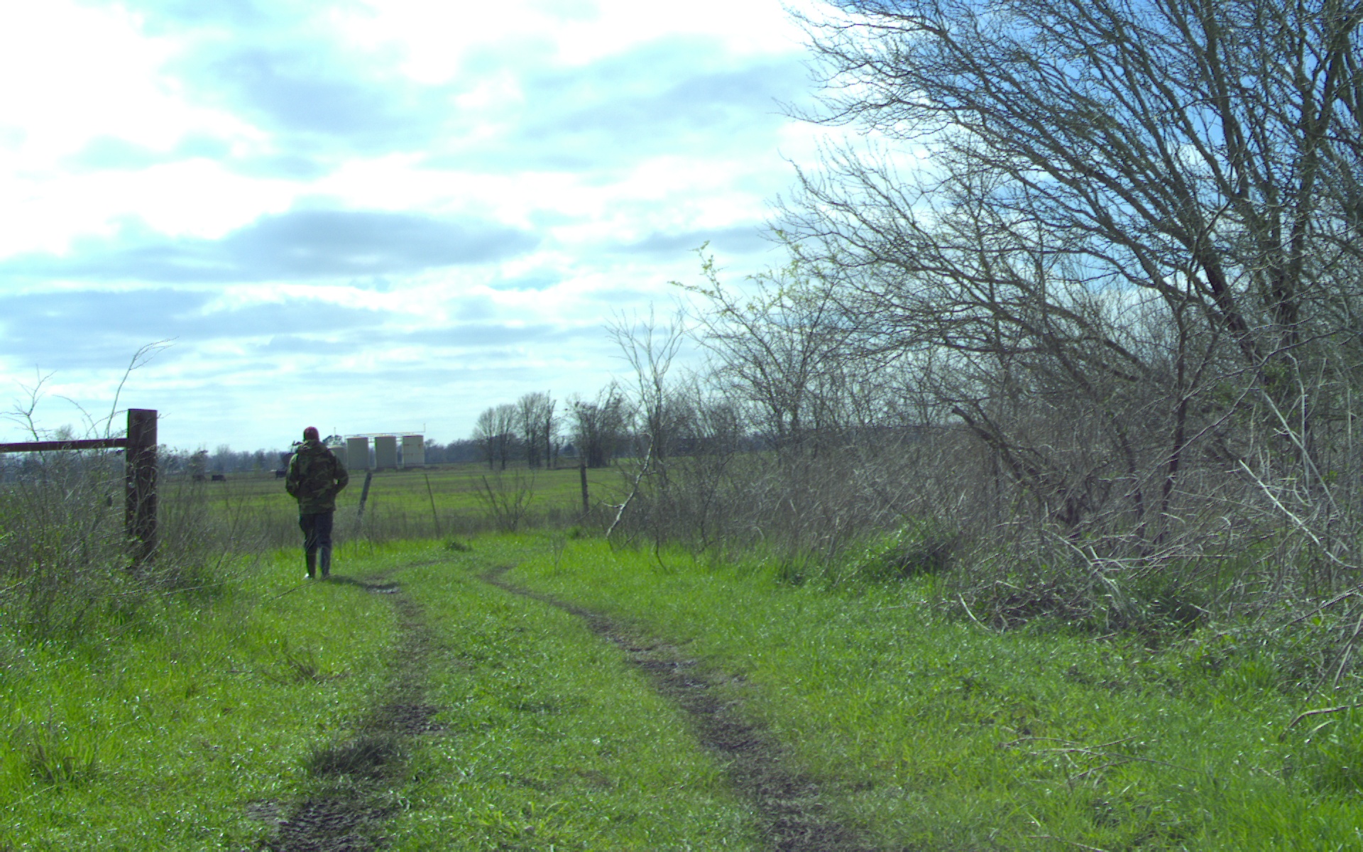 My First Project Instance Segmentation Model (v3, 2025-12-03 2:43pm) by yolo