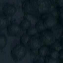 pellet_eye_01 Instance Segmentation Model by Pellets