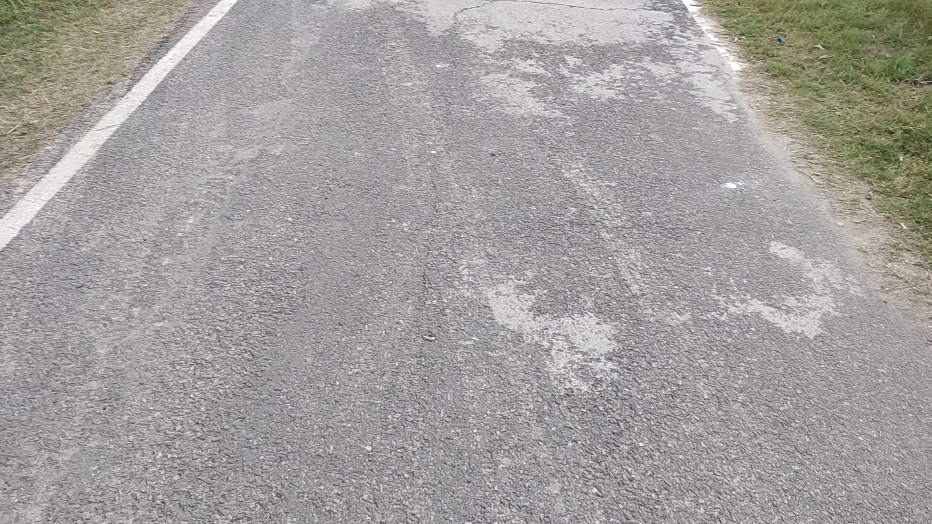 Flexible Pavement Object Detection Model By Thesis